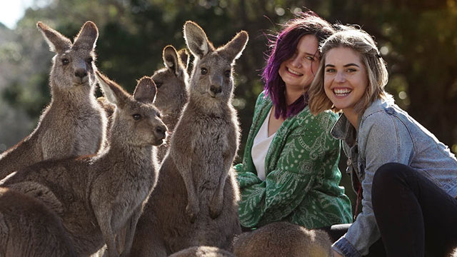 Symbio Wildlife Park Discount Tickets | Symbio Zoo | The NRMA