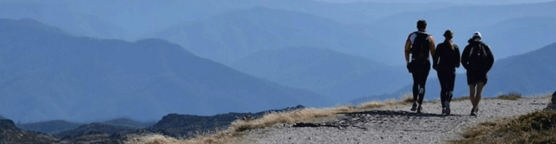 Local Hero: James Hackney | Archived News | Open Road | The NRMA