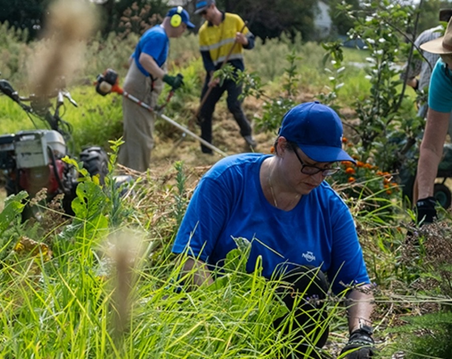 Outback Links Narooma and Cobargo | Archived News | Open Road | The NRMA