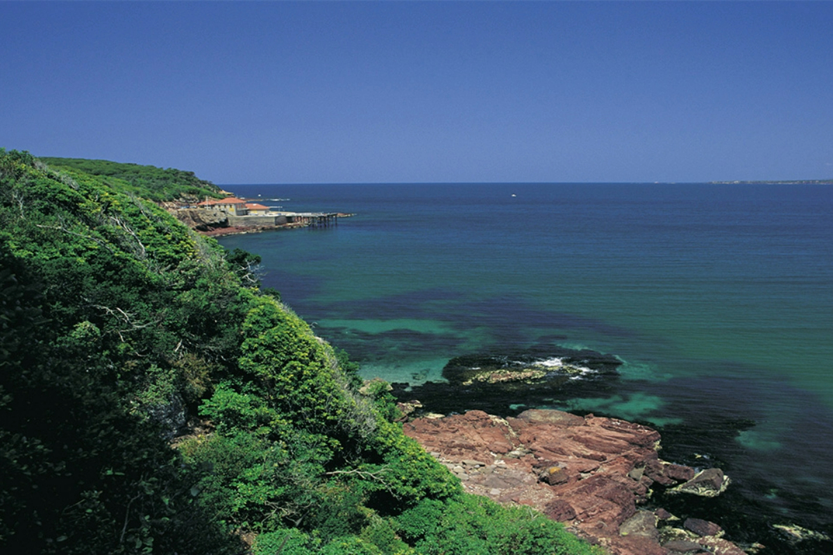 Merimbula | Destinations | Open Road | The NRMA