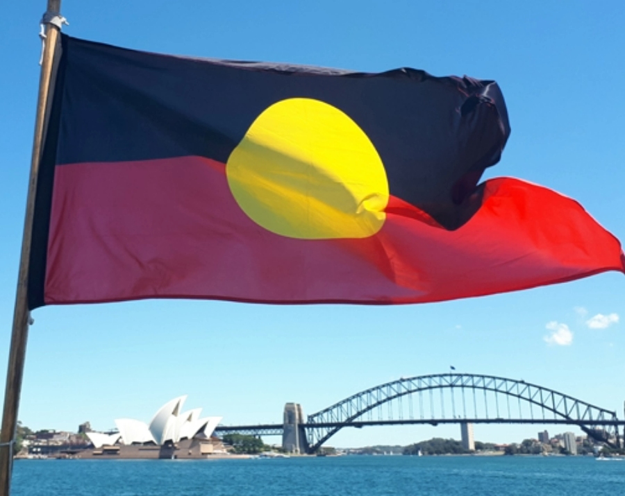 Why we road trip: Tribal Warrior, Sydney | Archived News | Open Road ...