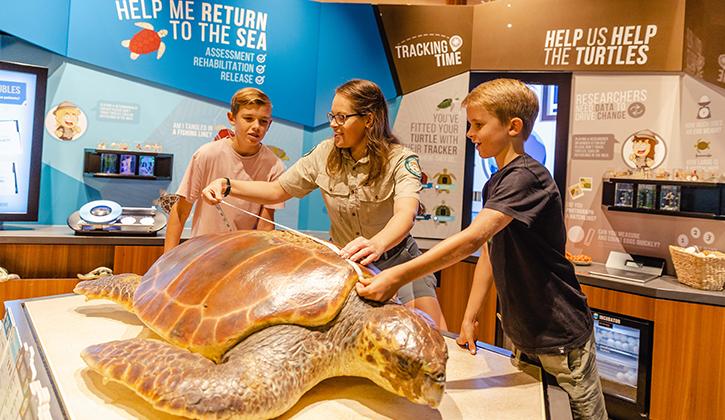 Turtle Sands | Mon Repos QLD